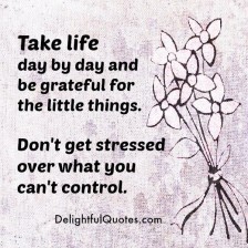 Don't get stressed over what you can't control - Delightful Quotes